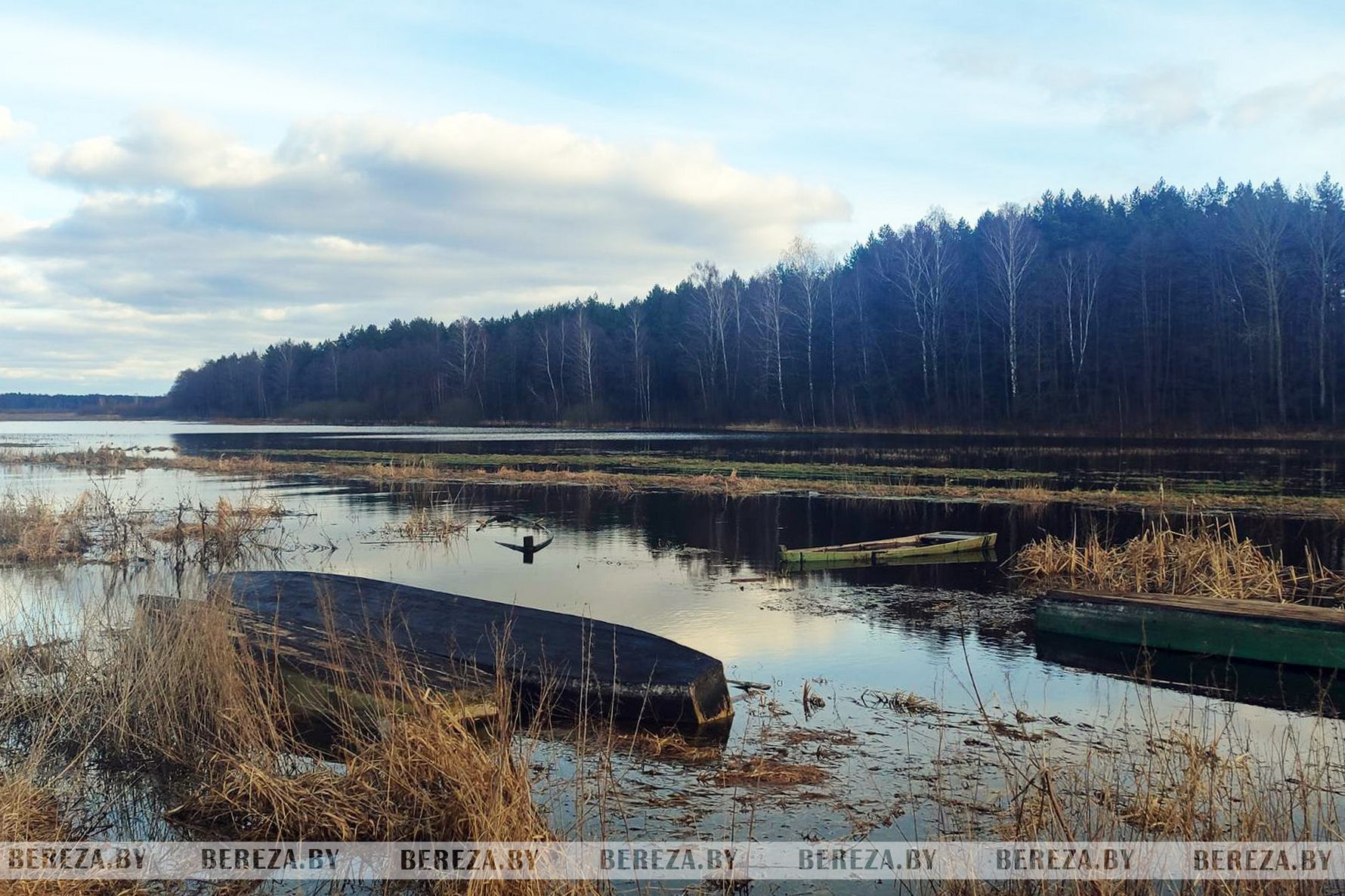 Как березовские мелиораторы справляются с сезонным паводком — BEREZA.BY