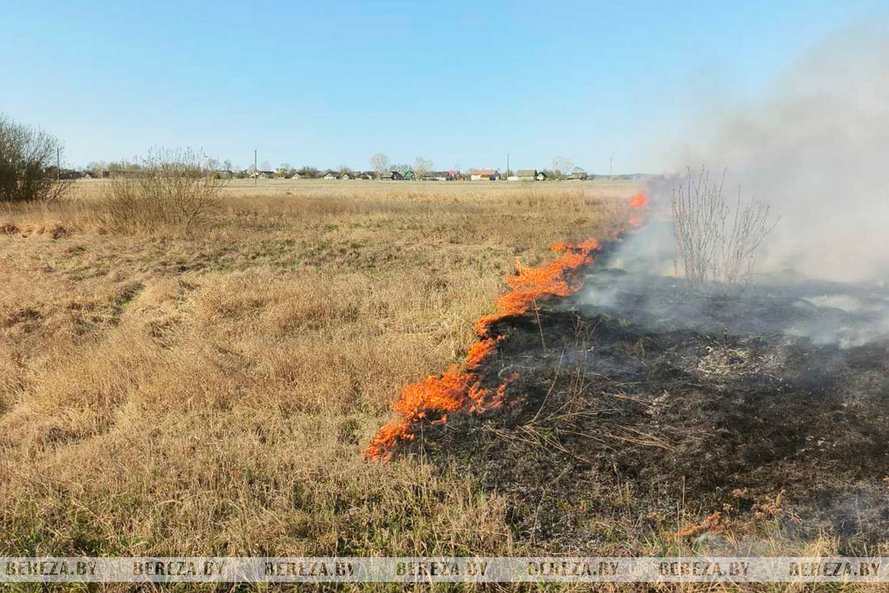 В Березовском районе за прошлую неделю зафиксировано девять палов травы ...